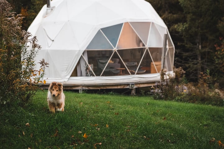 Private 98-acre Forest Dome & Natural Spa - Algonquin Provincial Park