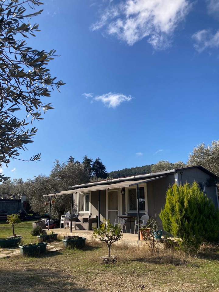 Urla'da Doğanın İçInde Huzurlu ÇIftlik Evi - Urla