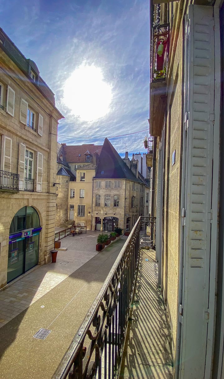 Dole Appartement Typique 60 M² Sur Rue Piétonne. - Dole