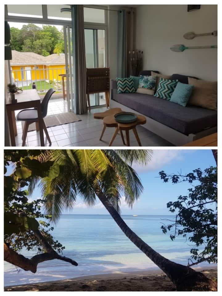 Appartement Dans Résidence, Accès Direct Plage - Marie-Galante
