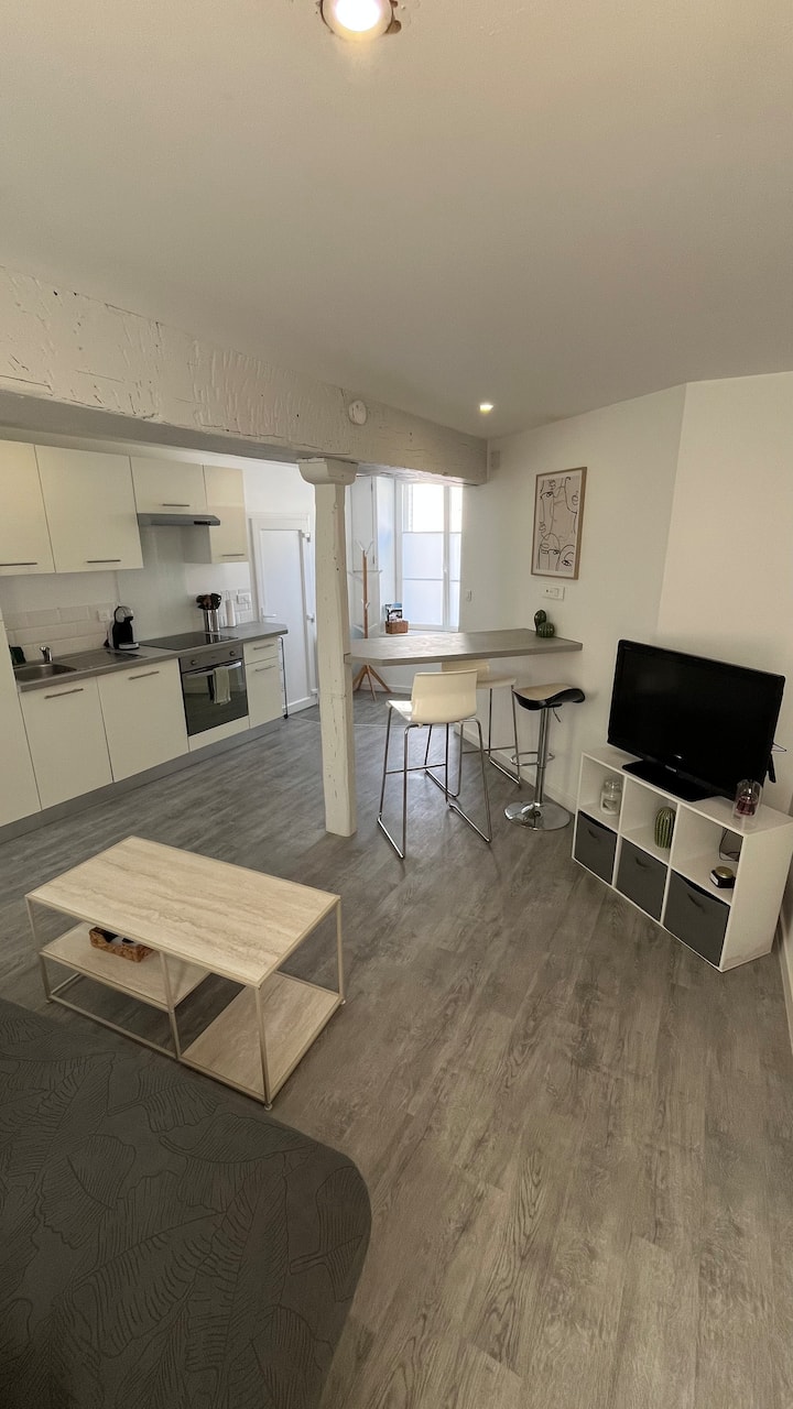 La Bascule - Appartement Rénové T2 : 4 Personnes - Olivet