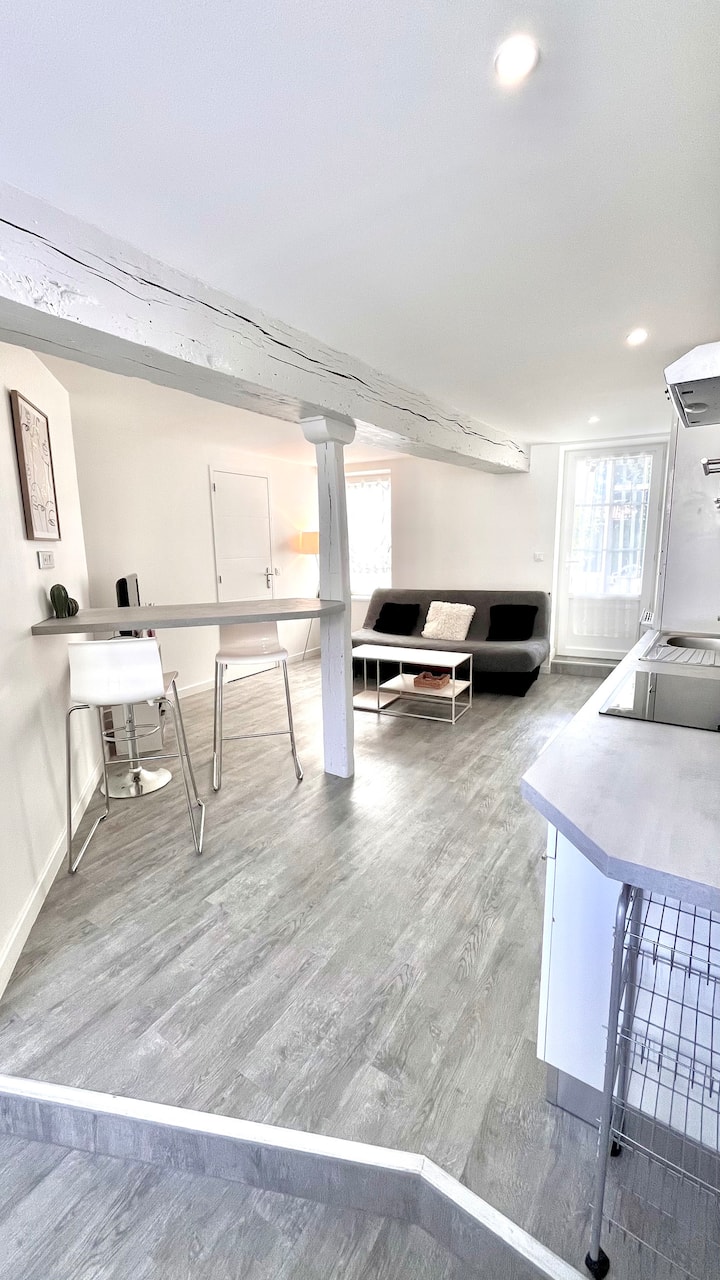 La Bascule - Appartement Rénové T2 : 4 Personnes - Le Zenith d'Orléans