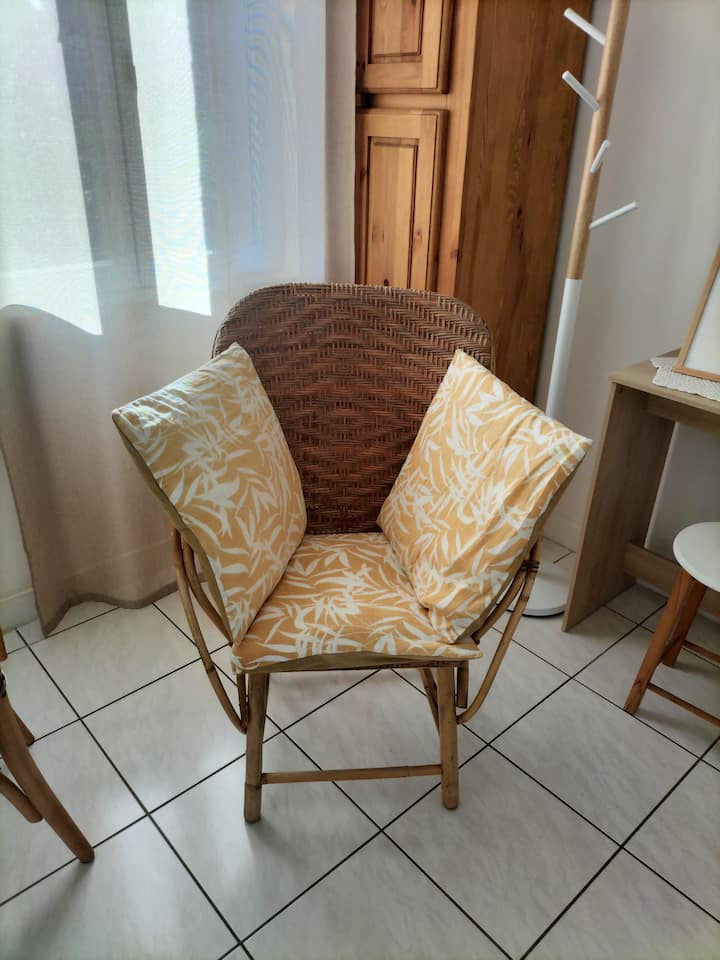 Studio Cosy à 15 Km De Lyon, Proche Monts D’or - Neuville-sur-Saône