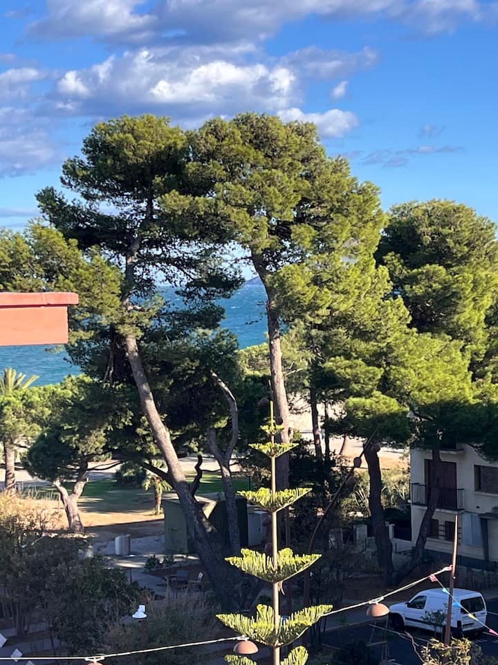 Argelès-sur-mer Appartement Plage Centrale - Argelès-sur-Mer