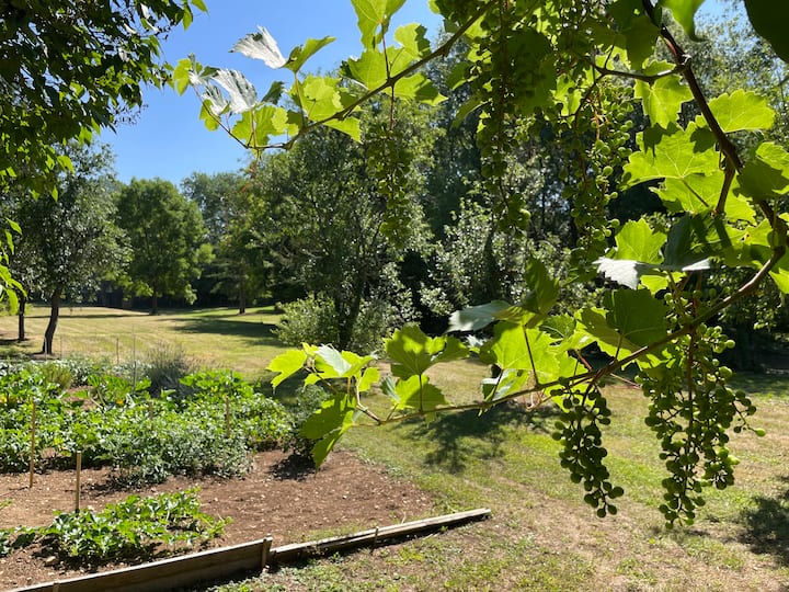 Appartement En Pleine Nature - Côte-d'Or