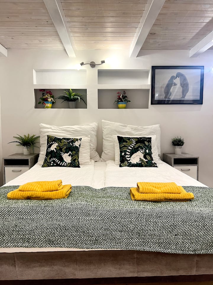 Downtown+ac+6 Ppl-d - ブダペスト