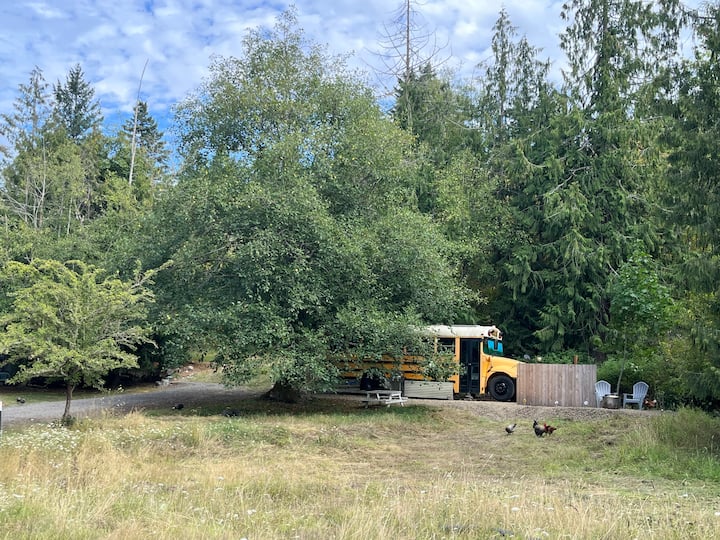 Bee Haven Bus At The Rmr - Washington