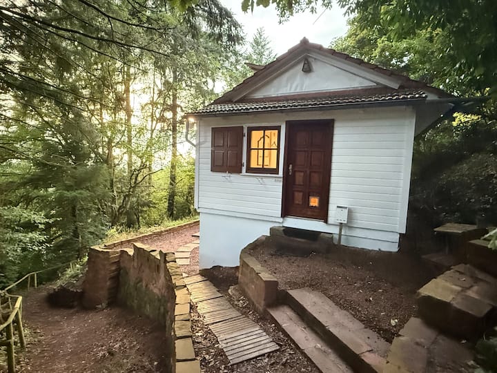 Aussichtsreich Odenwald - Wald-Michelbach