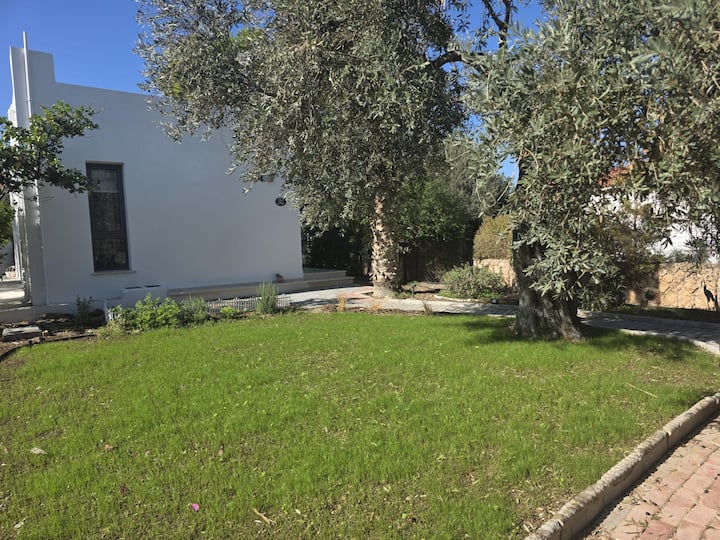 Charming&peaceful Bungalow Near City,beaches &Ivf - Chipre