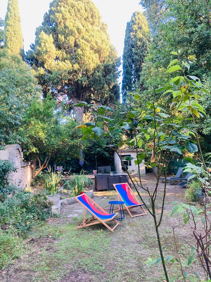 Chambres Havre De Paix Centre Ville Bassin 18e Bbq - Montpellier
