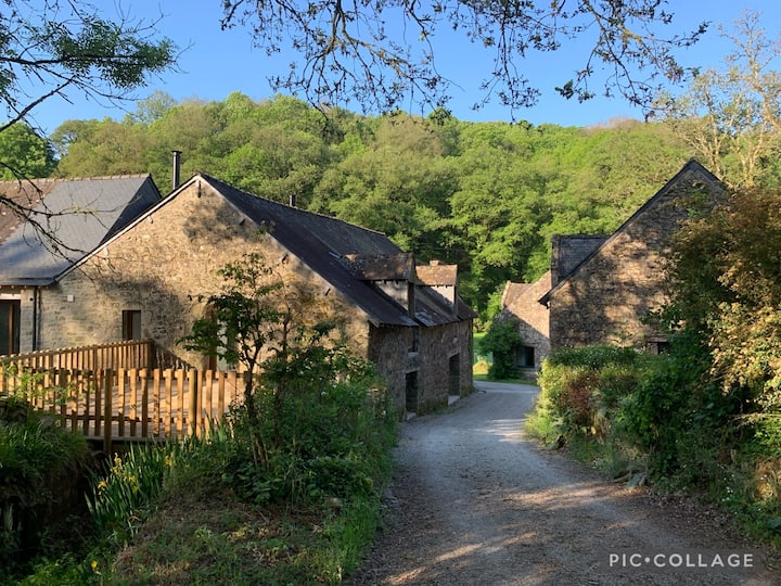 Ensemble De Gîtes Capacité 22 Personnes, Piscine - Bretagne