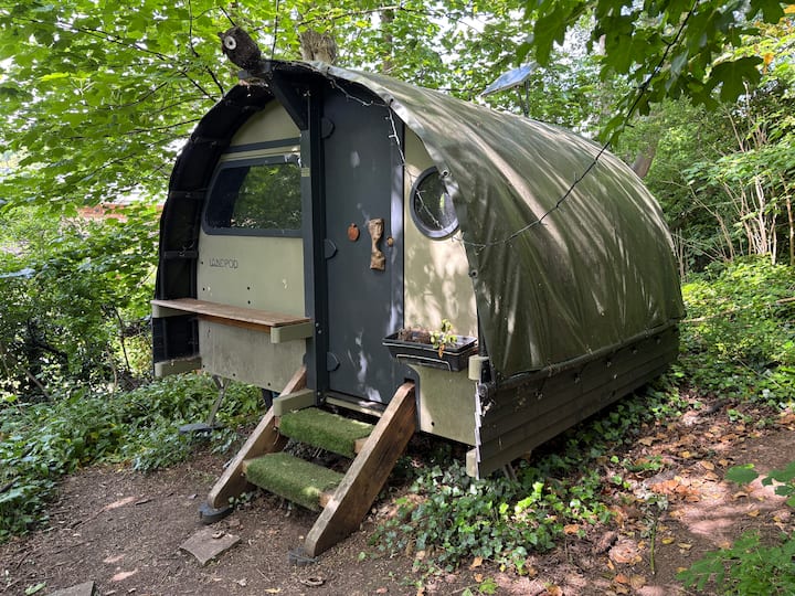 Apple Pod - Huge Secret Garden In The City - Bristol