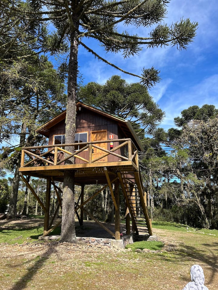 Cabanas Imbuia 2 - Cambará do Sul