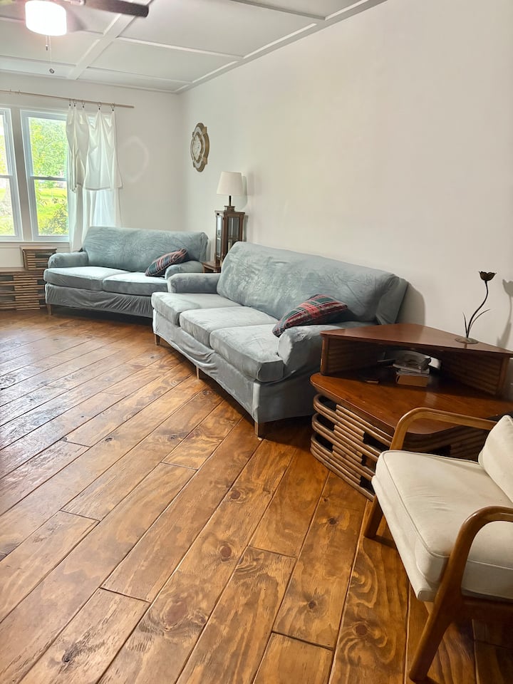 Cozy, Private, Quiet 2 Bedroom Pet Friendly Condo - Charleston, SC