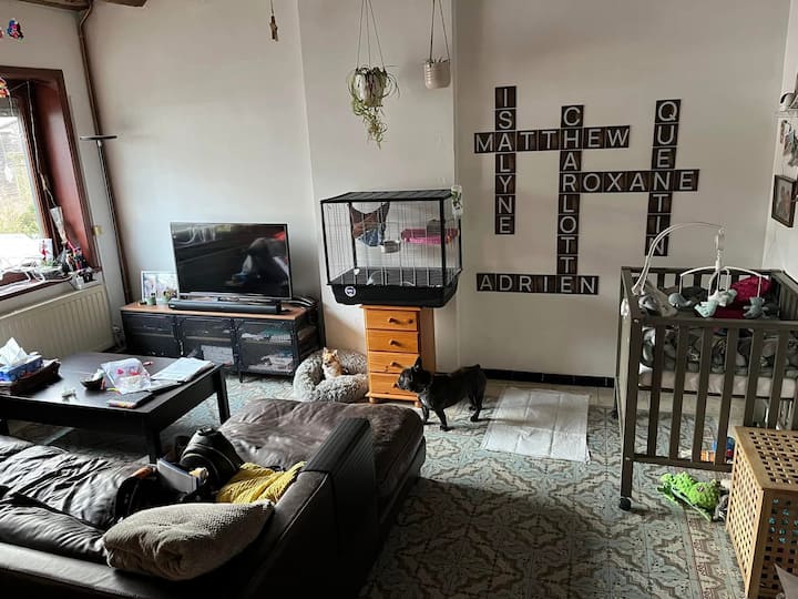 Simple, Mais Efficace - Courcelles