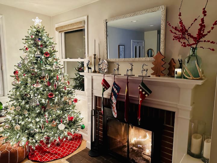 Lovely Home For Family Fun In Dc + Parking - Washington, DC