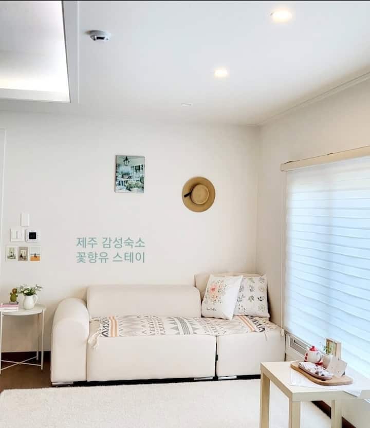 [애월] 꽃향유스테이
제주숙소/공항20분
제주가족숙소/바다뷰
애월숙소/제주가성비숙소 - Ciudad de Jeju