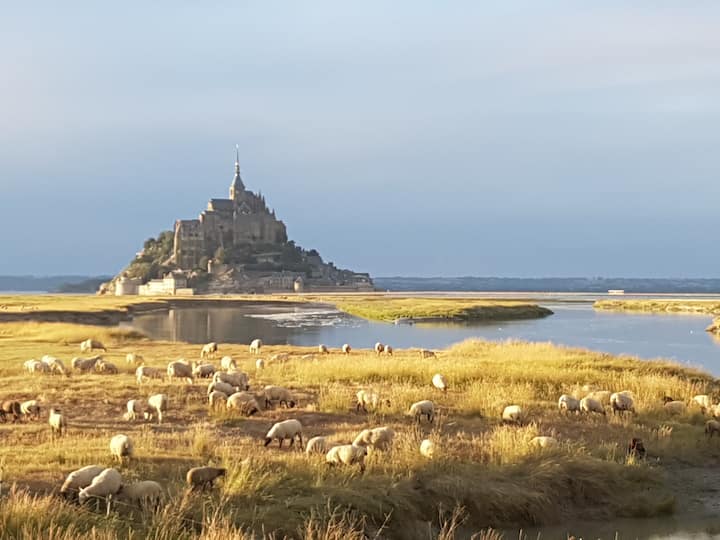 Maison Sainte Anne Tout Près Du Mont-saint-michel - Brittany