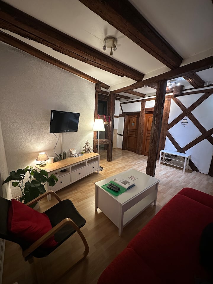 Appartement Au Cœur Du Vignoble Alsacien - Turckheim