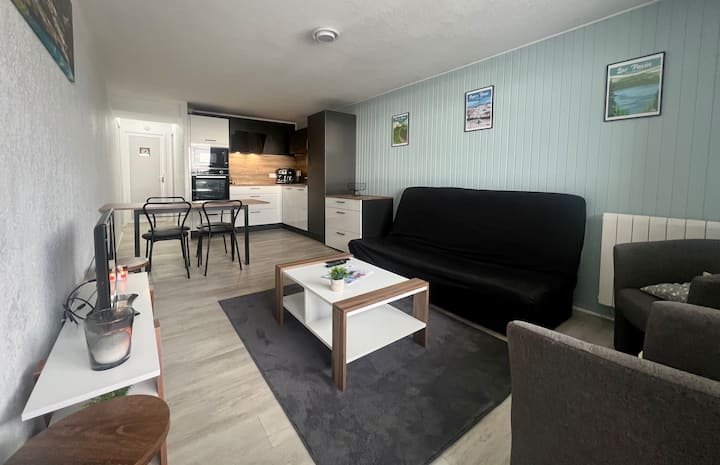 Appartement Super-besse ÉTé Ou Hiver Puy-de-dôme - Picherande
