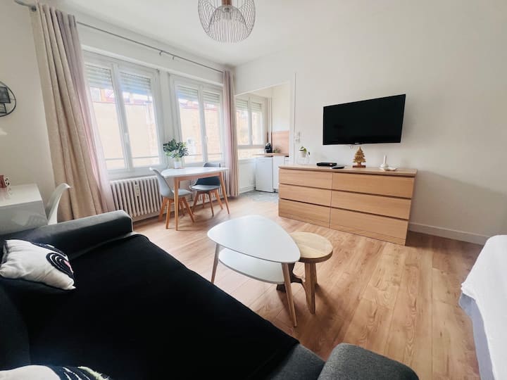 Charmant #Calme #Lumineux #Hypercentre #Queen Size - Dijon