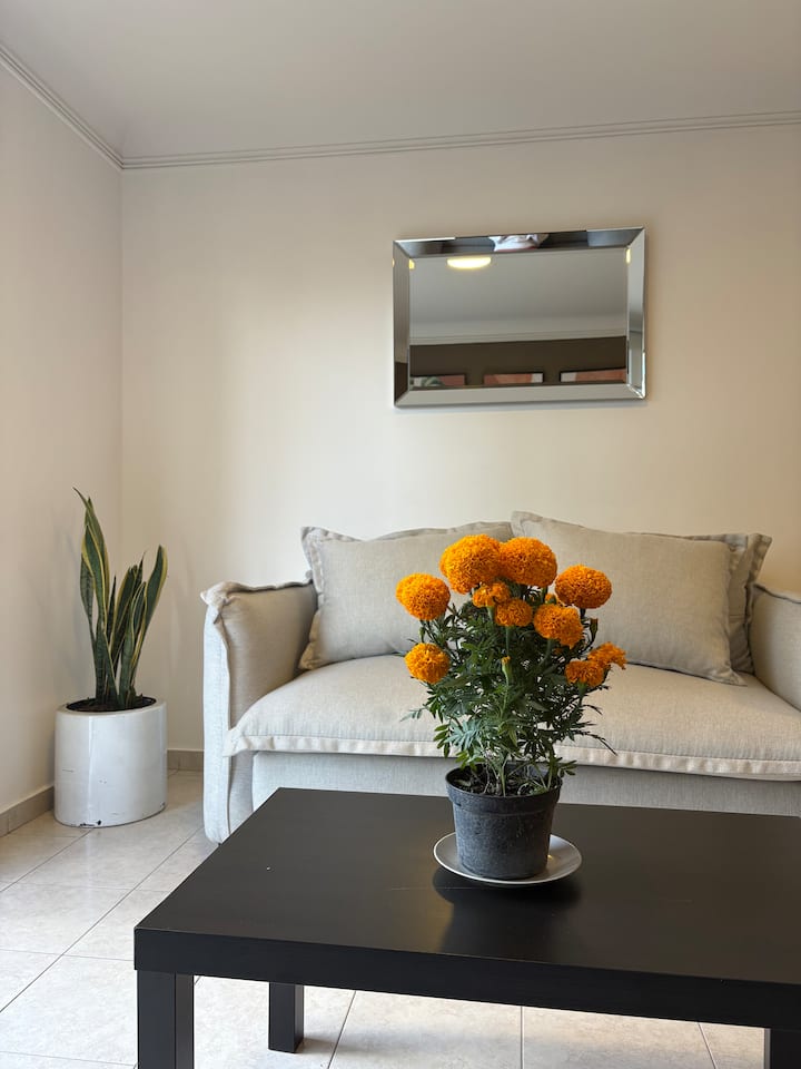 Amplio Departamento Cerca De Mitikah Coyoacán - Ciudad de México