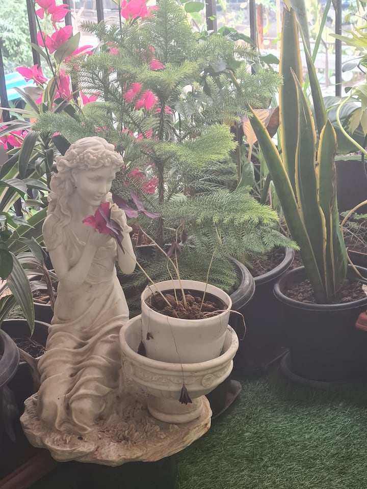 Lovely Bedroom | Baner High Street Siemens |Garden - Pune (India)