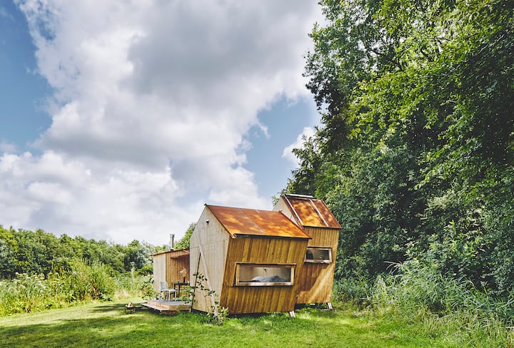 Het Bos Roept! Warthog Family - Texel