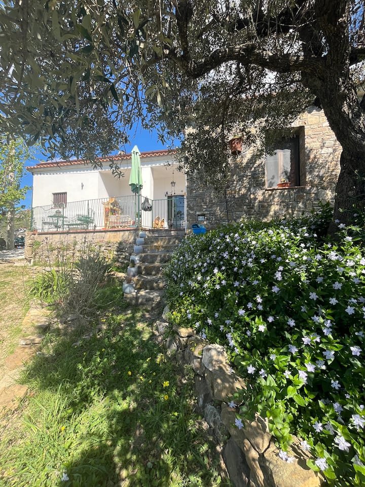 Casa San Leonardo - Pollica