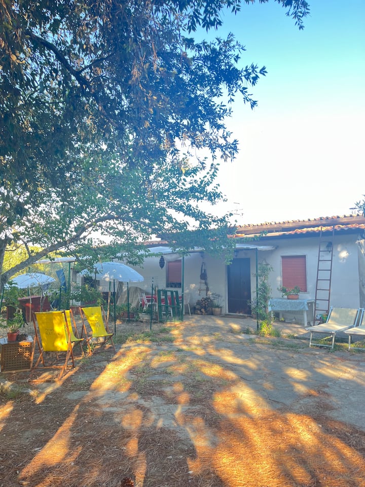 Casa Giardiniello - Acciaroli