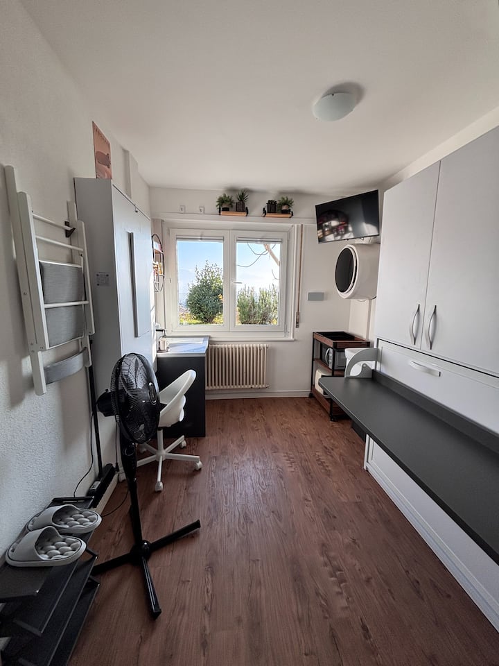 Panoramic Lake View Room With Private Laundry - Lausanne