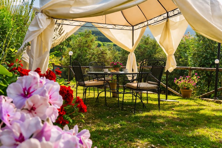 Rural House  In Cilento National Park - San Mauro Cilento