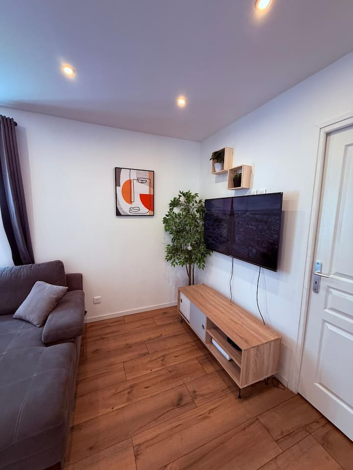 T3 Aux Portes De Strasbourg / Parlement Européen - Strasburgo