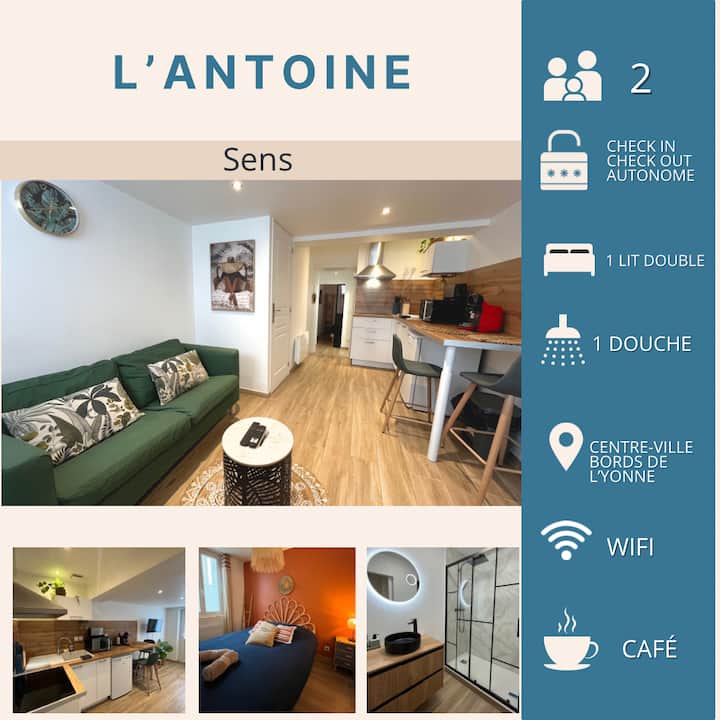 {L'antoine}*centre Ville De Sens*bord De L'{yonne} - Sens