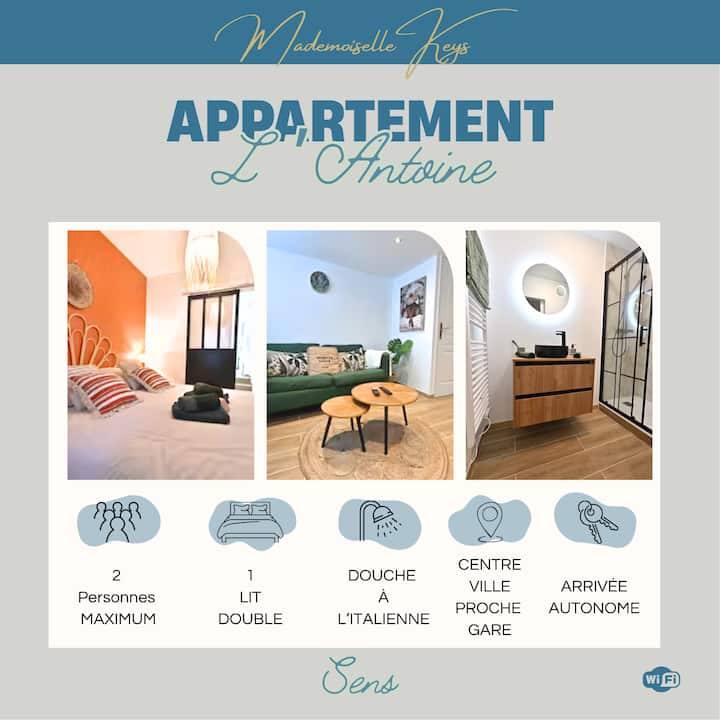 L'antoine - Centre Ville De Sens Bord De L'yonne - Sens