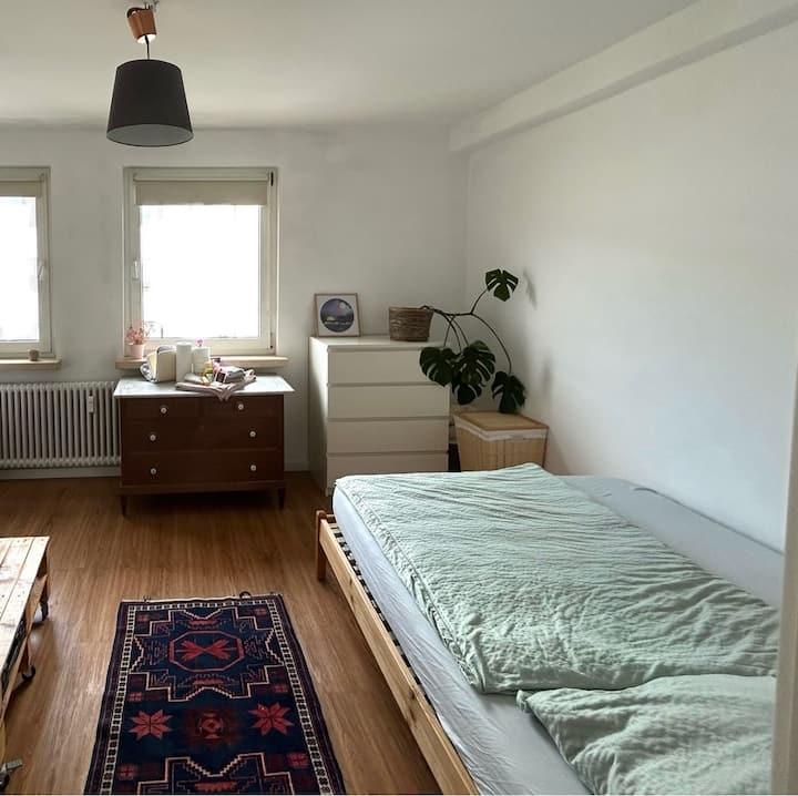Zentrale Helle Schöne Wohnung In Mainz - Mainz