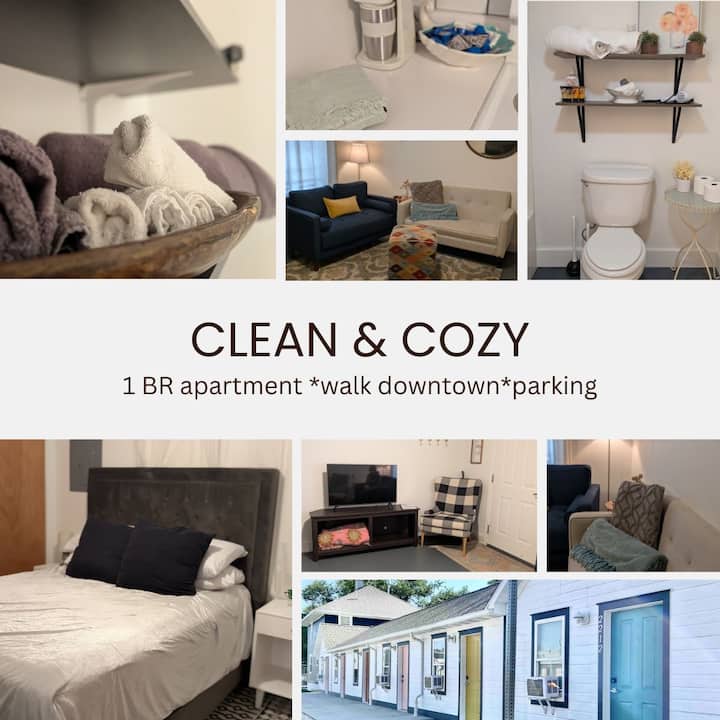 Warm & Cozy 1 Br W/ Heated Floors Near Downtown - Billings, MT