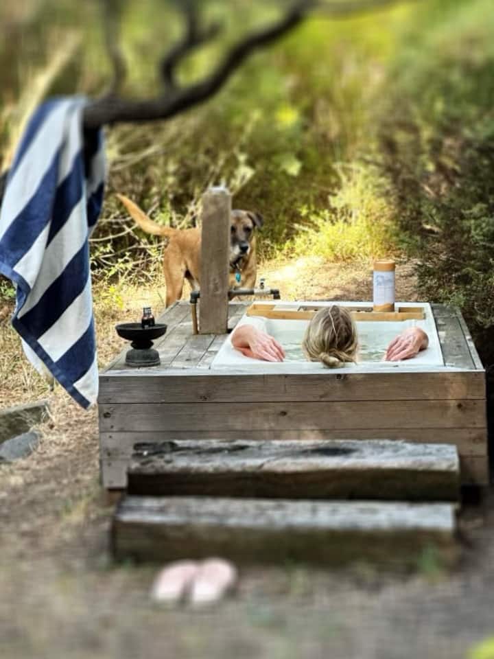 Peninsula Glamping Yurt - Rye