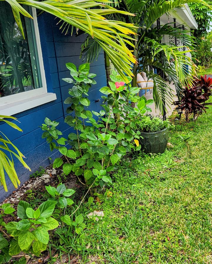 Fab Home Near Everything - フォート・マイヤーズ, FL