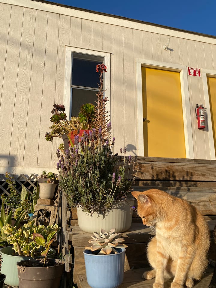 Casita De Huéspedes Con Estacionamiento Privado - Ensenada