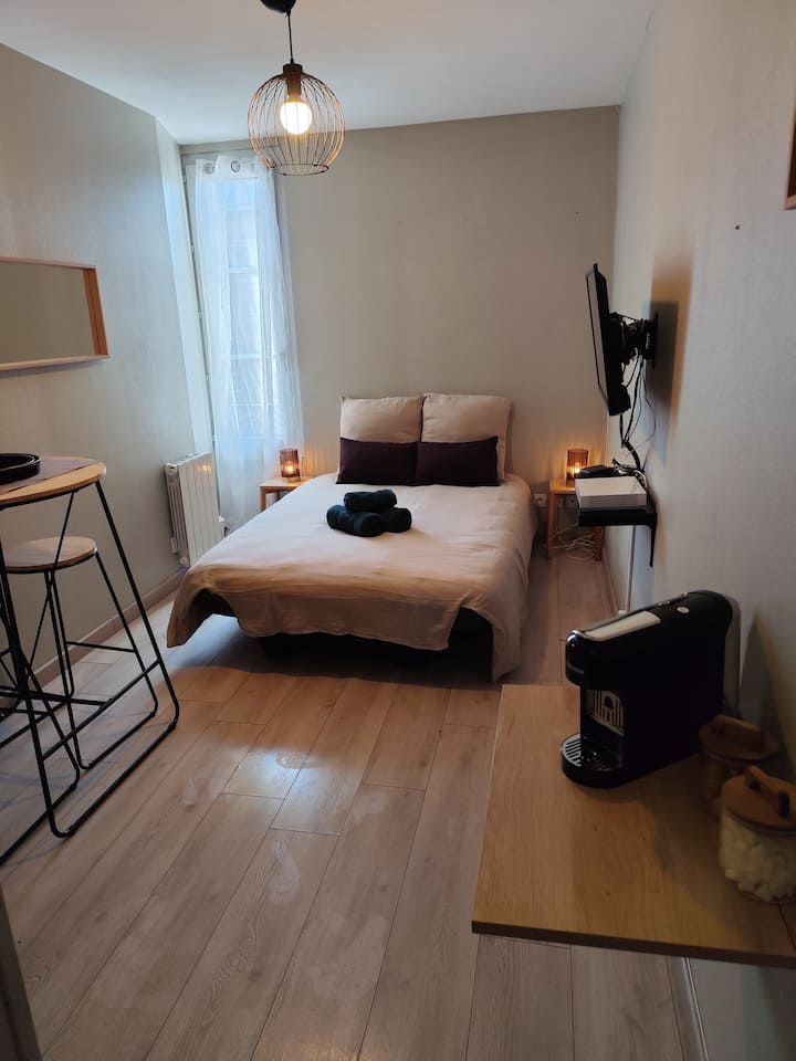La Bulle De Tours, City Center, Station Opposite! - Tours