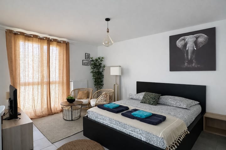 Nid Douillet Chaleureux Lyon 8 Proche Centre. - 里昂