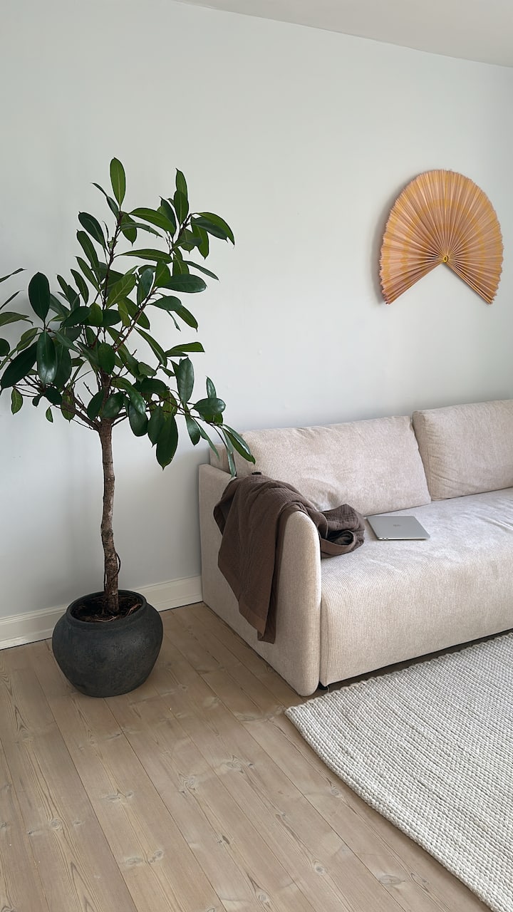 Delevenlig Og Centralbeliggende Lejlighed - Copenhagen