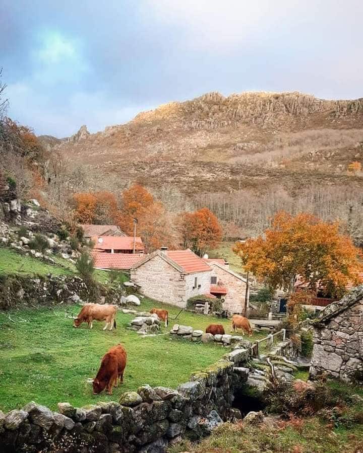 Casa Do Padre - Aldeia De Pontes, Castro Laboreiro - Melgaço