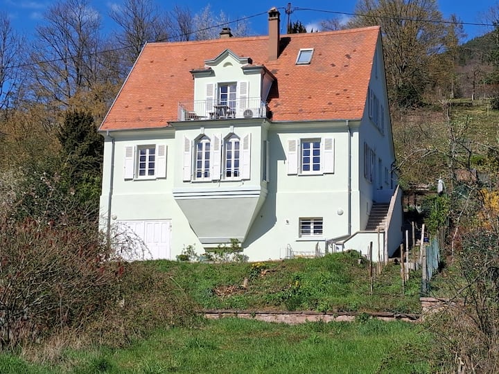 Appartement Le Kesbel 4 Personnes - Bergheim, France