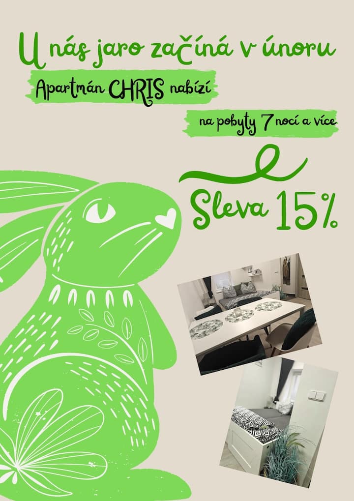 Apartment Chris - Karlovy Vary