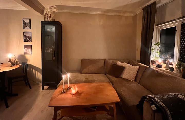 Sentrumsnær Leilighet På Møllenberg - Trondheim