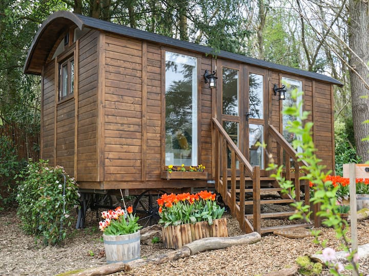 Sybs Farm Shepherds Hut - Midhurst