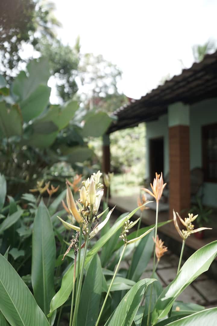 Calm & Cozy |Tiny House |Ac & Patio |Garden View - Varkala