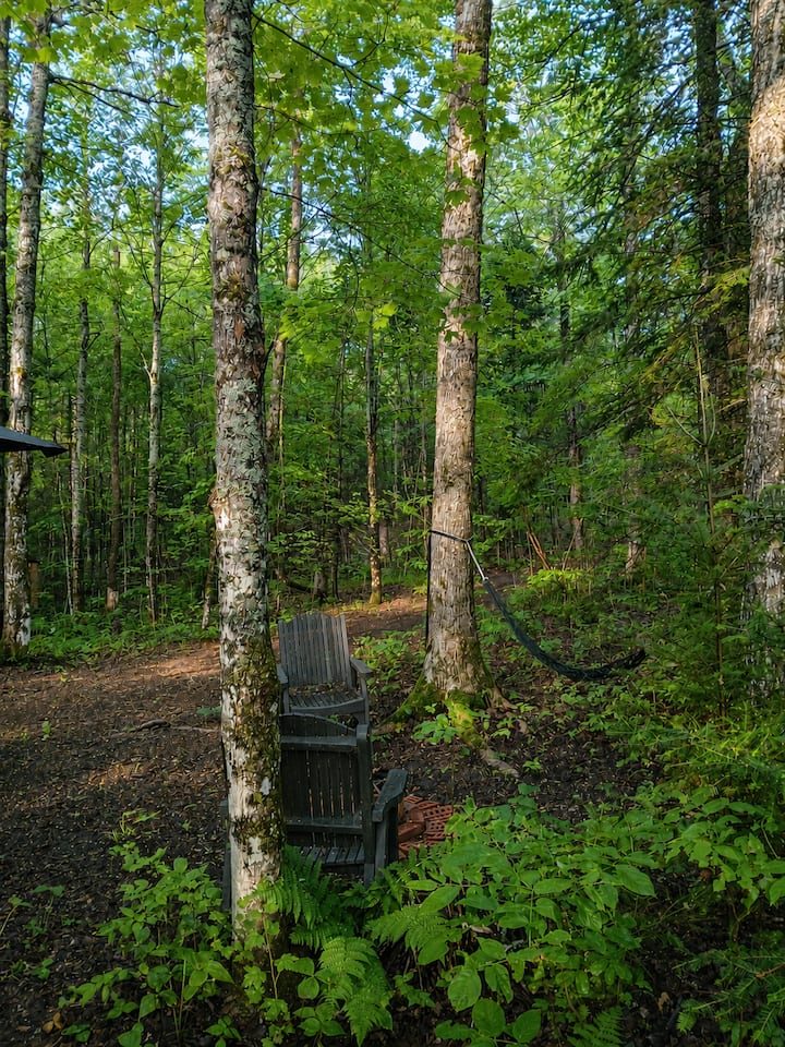 Honeycomb Hub Nature Getaway Cabin W/river & Creek - Ontario 60
